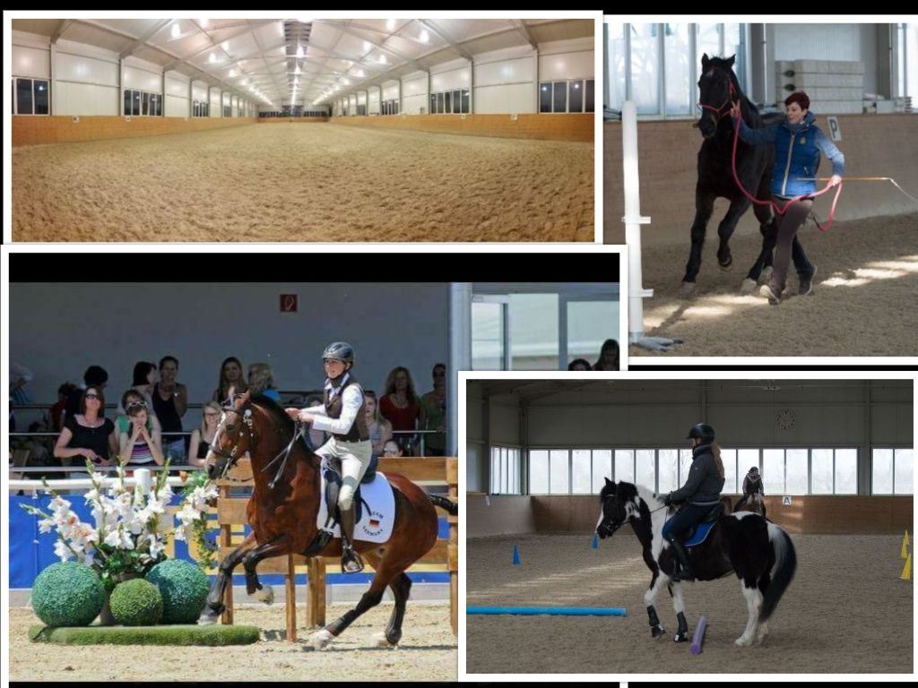 Working Equitation Trail-Kurs mit Katrin Frankenberger - PferdeTermine.de